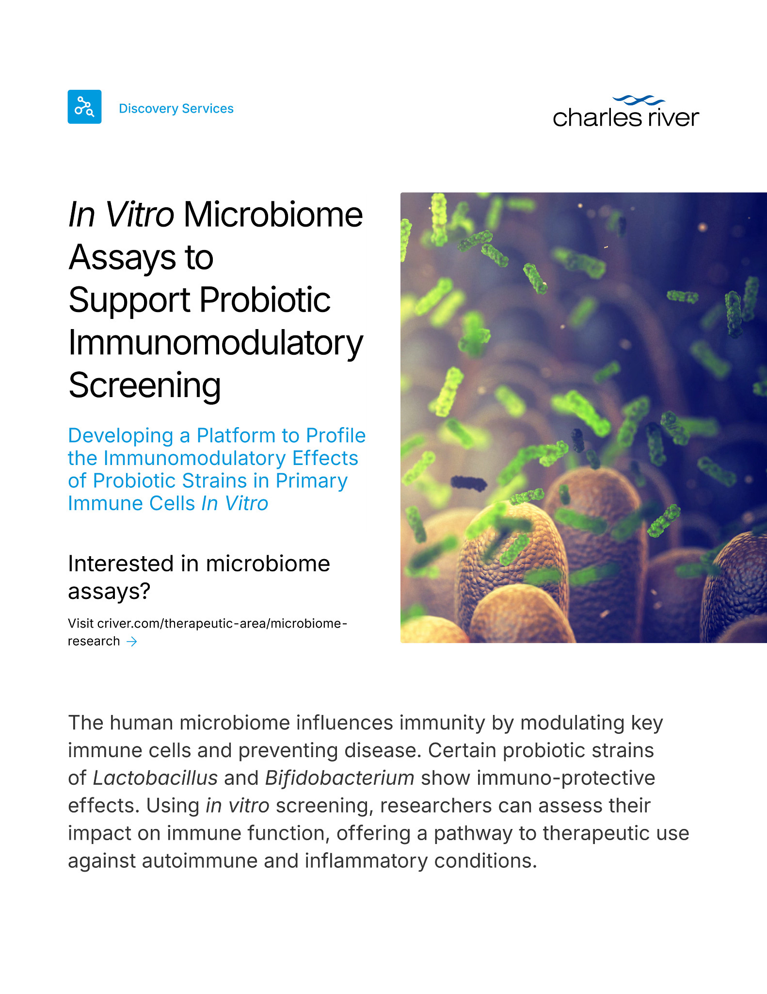 In Vitro Microbiome Assays Support Probiotic Screening | Charles River