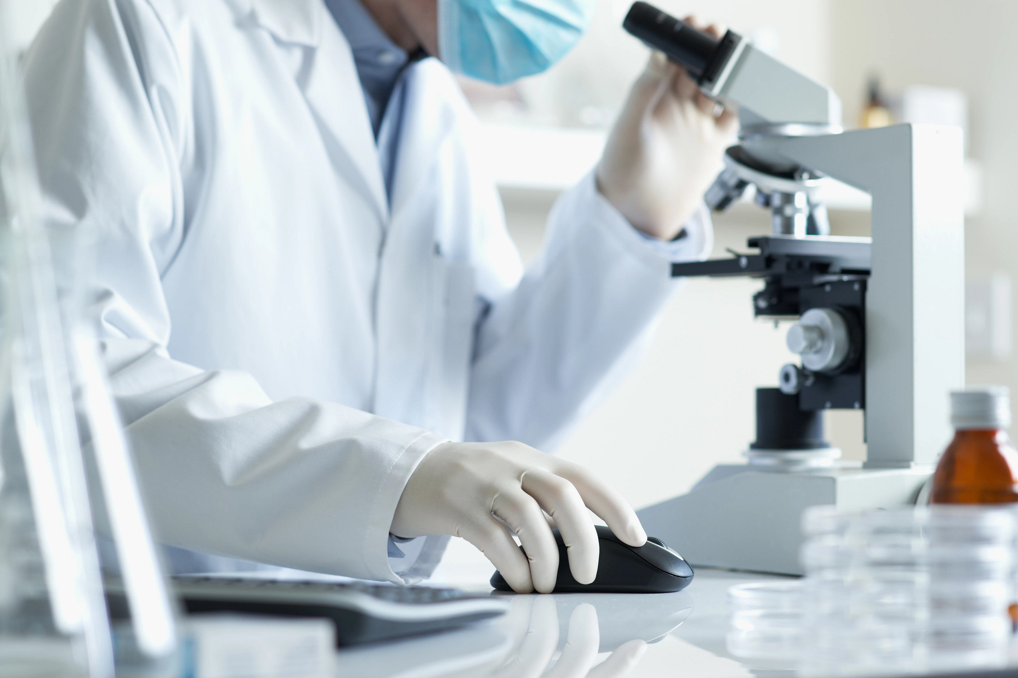 In Situ Hybridization (ISH) Services | Charles River