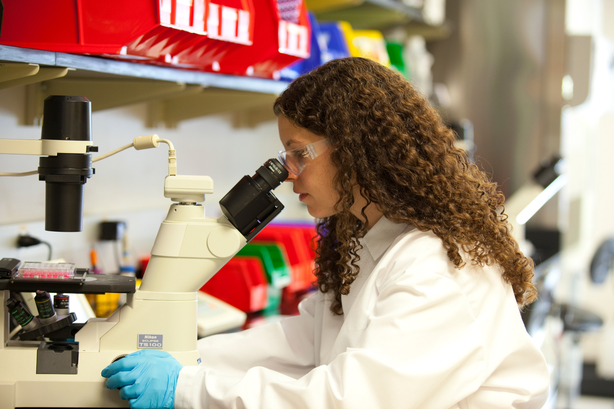 Viral Clearance Validation Facility in Cologne, Germany | Charles River
