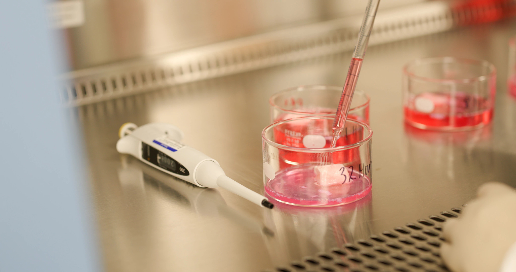 Biocompatibility Testing for Medical Devices | Charles River