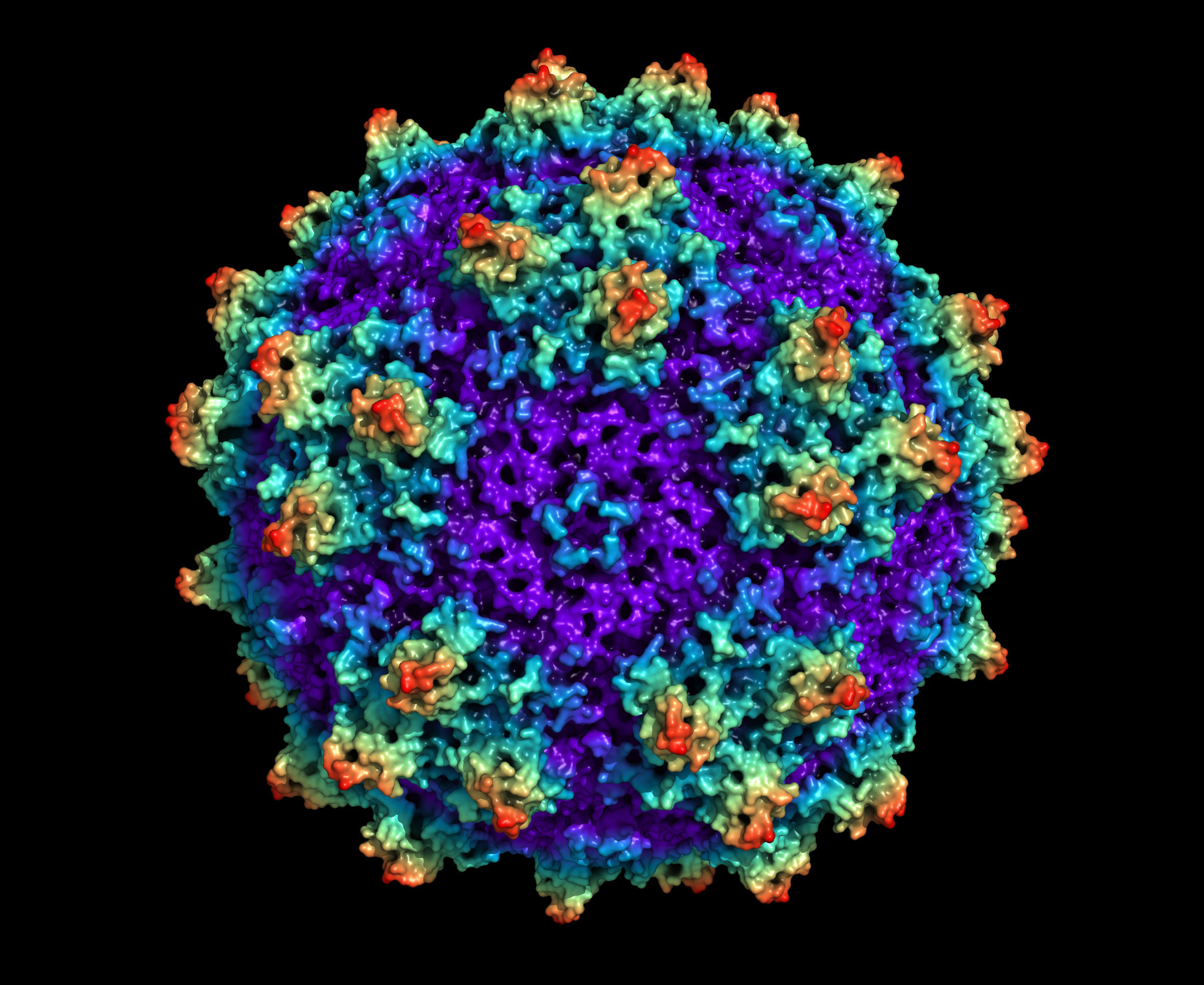 [Charles River/Cellero] AAV Controls 한국대리점 - 2 | 연구용제품 > Bio마켓 | BRIC