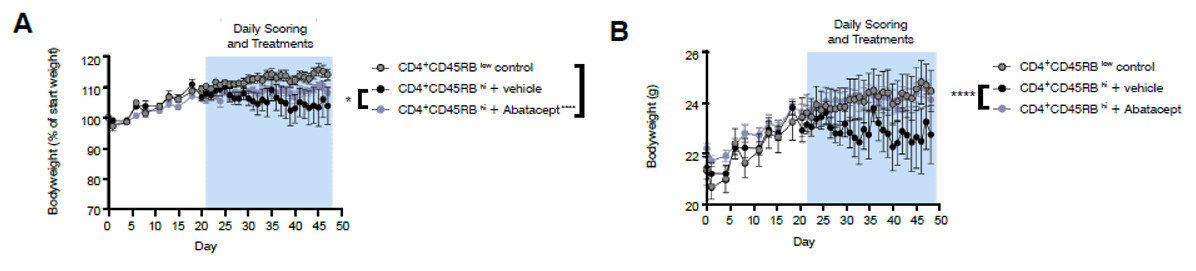 T Cell Transfer Model of Inflammatory Bowel Disease (IBD) | Charles River
