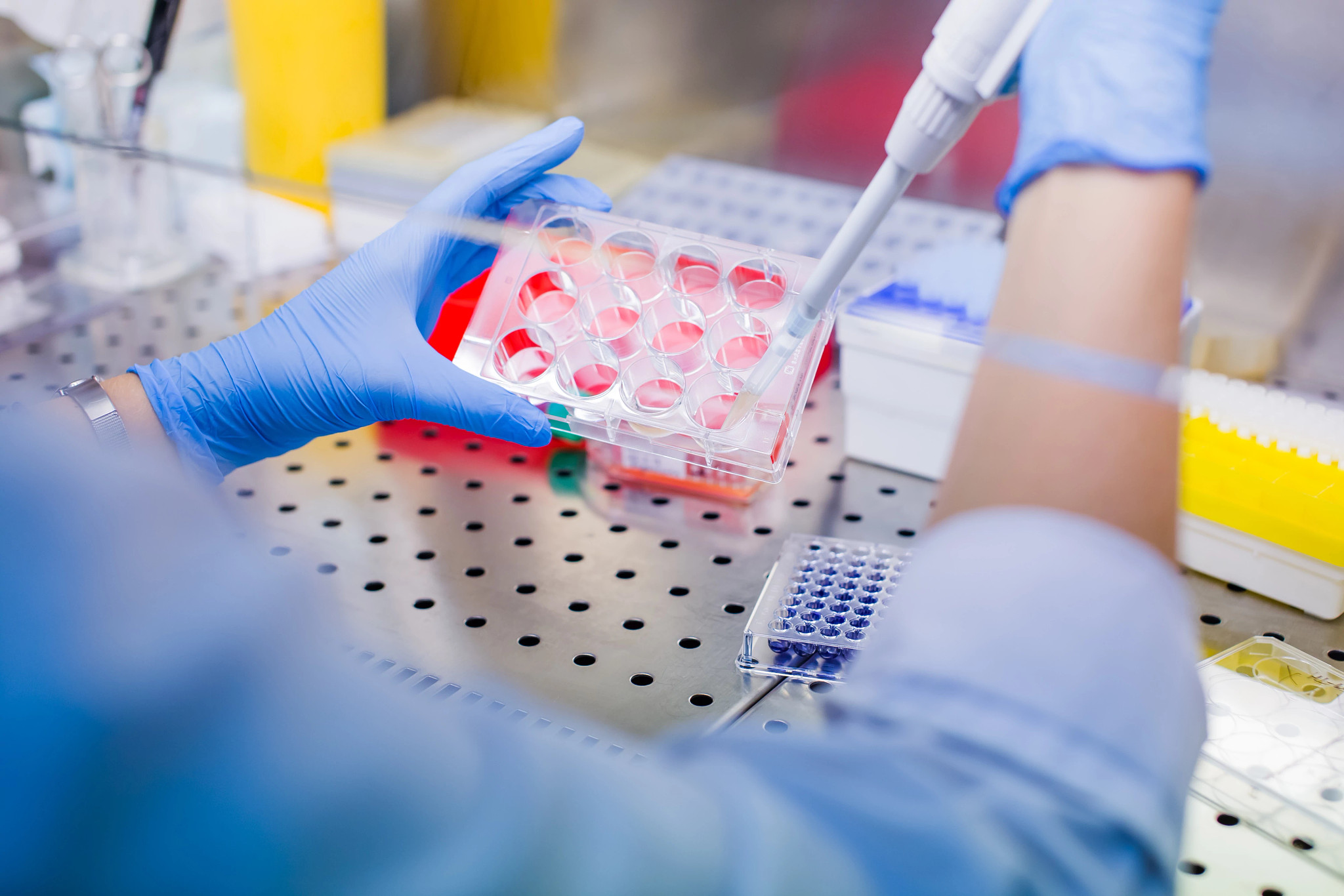 Cytochrome P450 Assays | Charles River