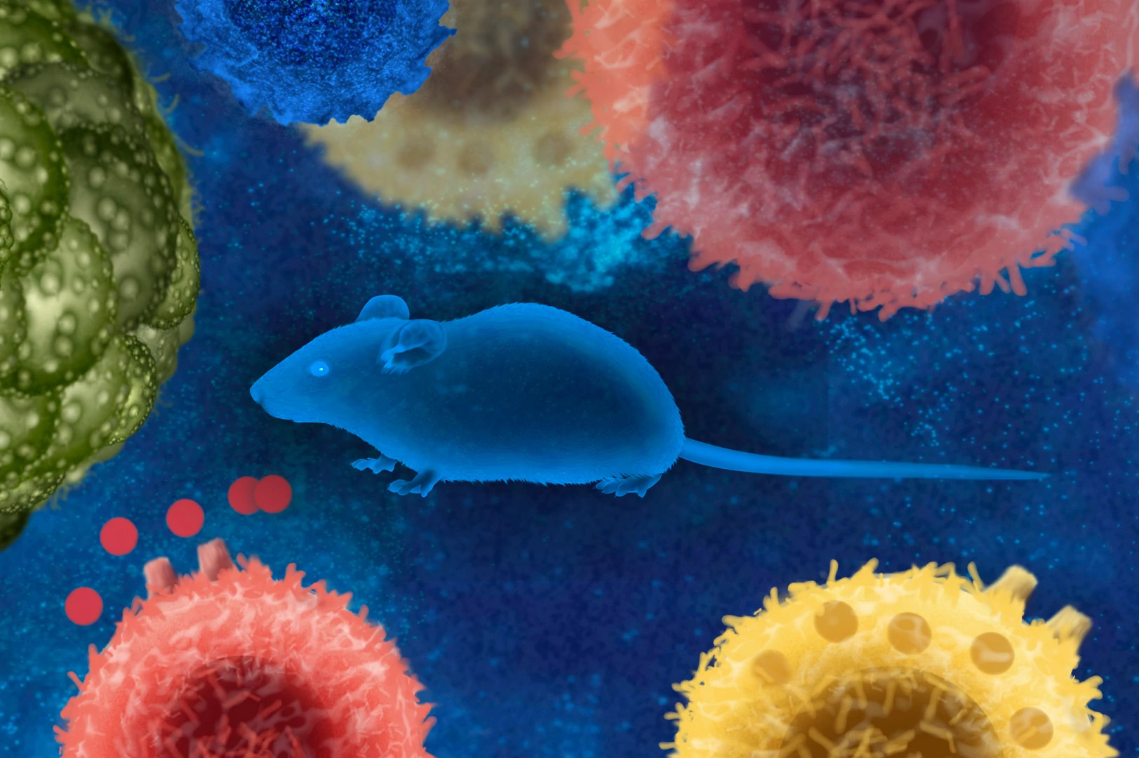 Humanized Mice | Charles River