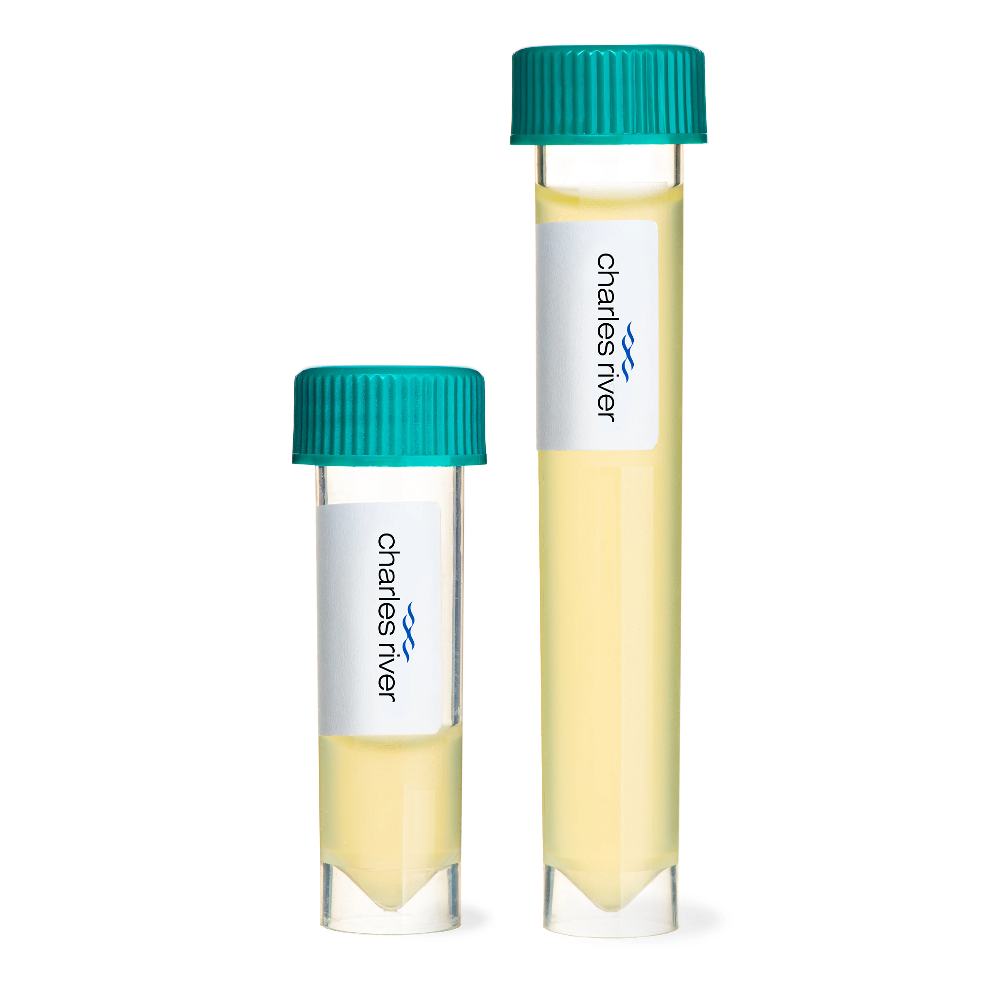 Human Blood Products | Charles River