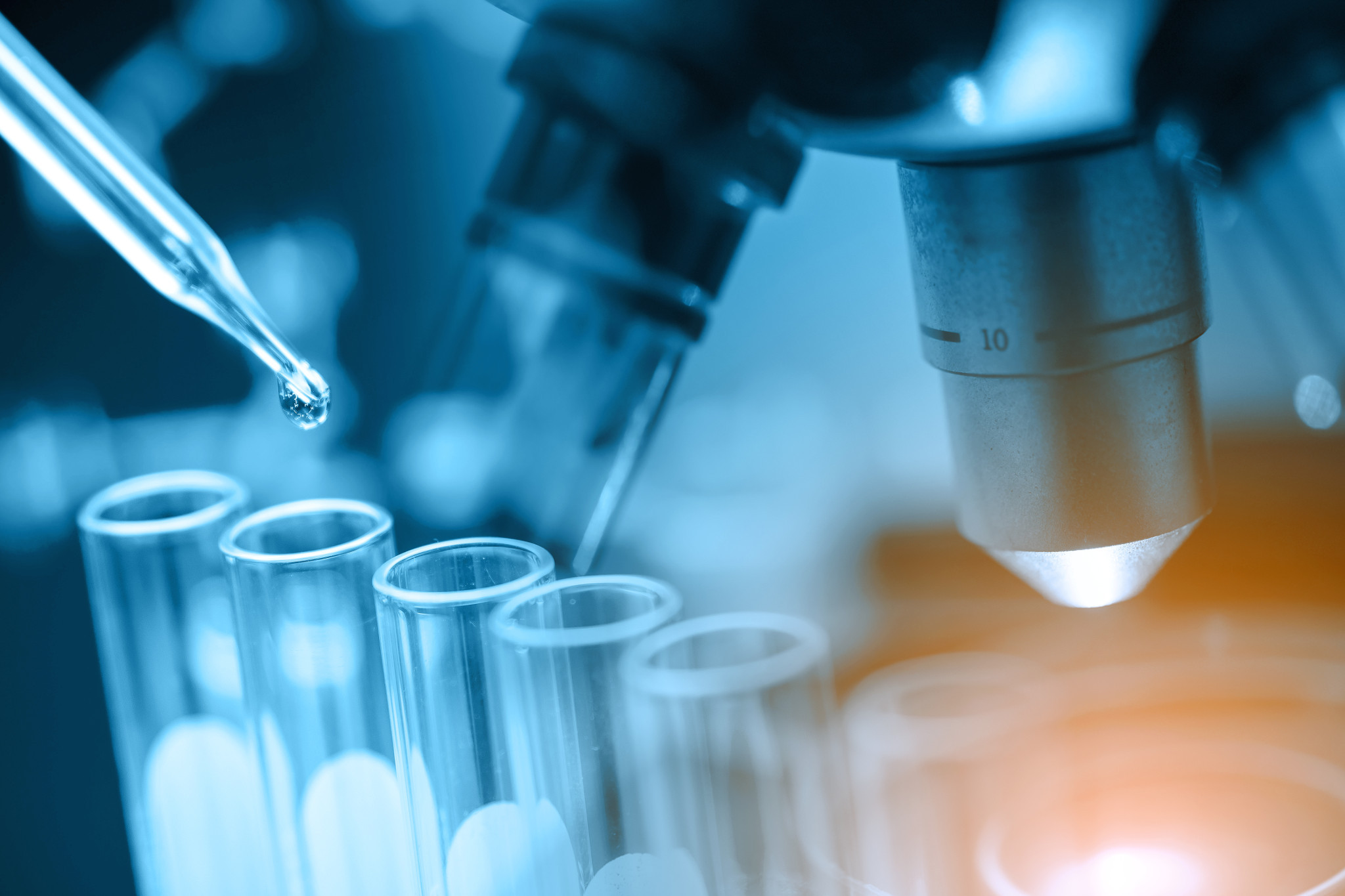 Preclinical CRO Services | Charles River