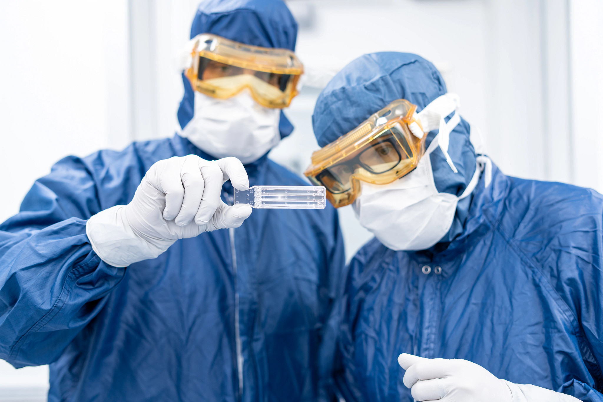 Glucan Assay for beta-D-Glucan Detection | Charles River