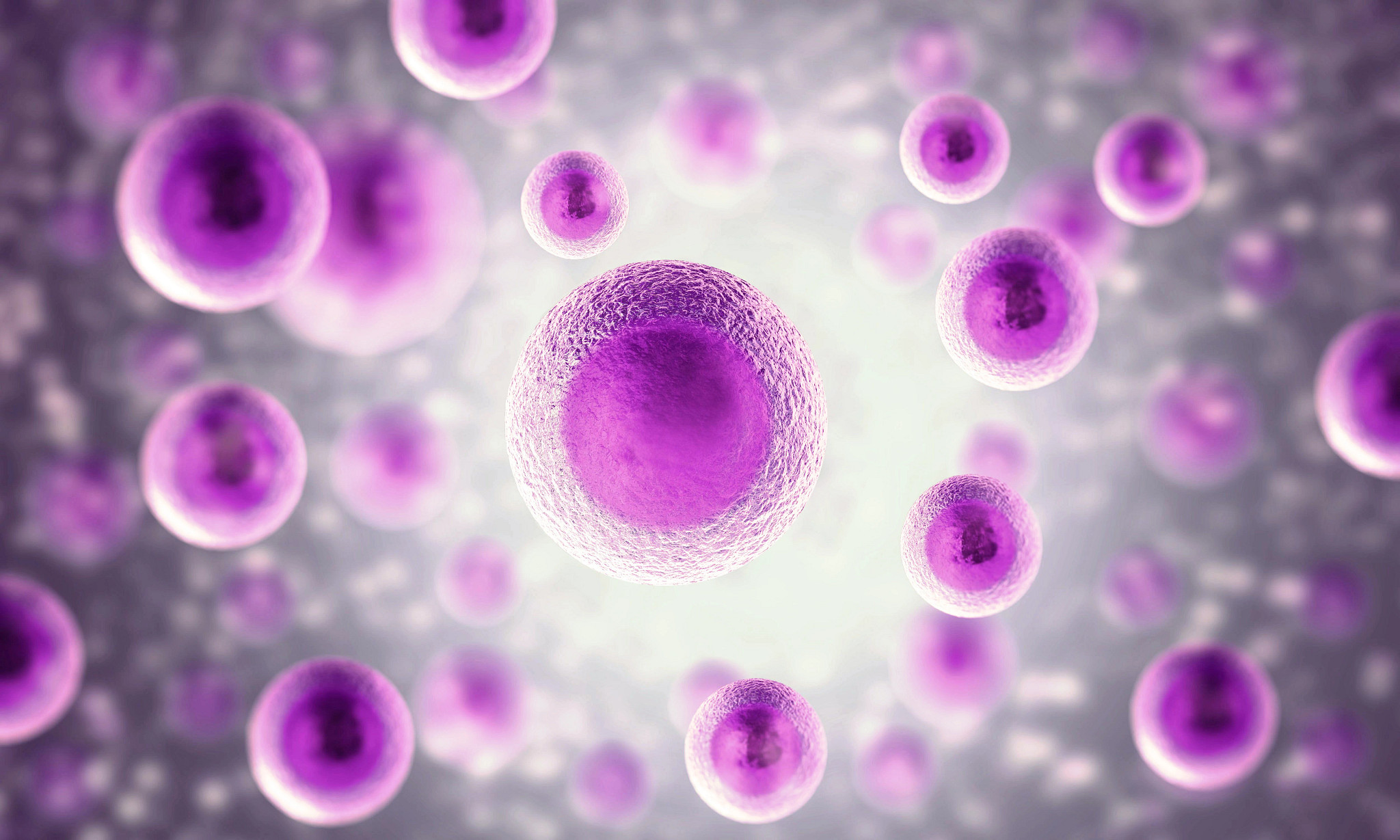 Determining and Optimizing Dynamic Binding Capacity | Charles River