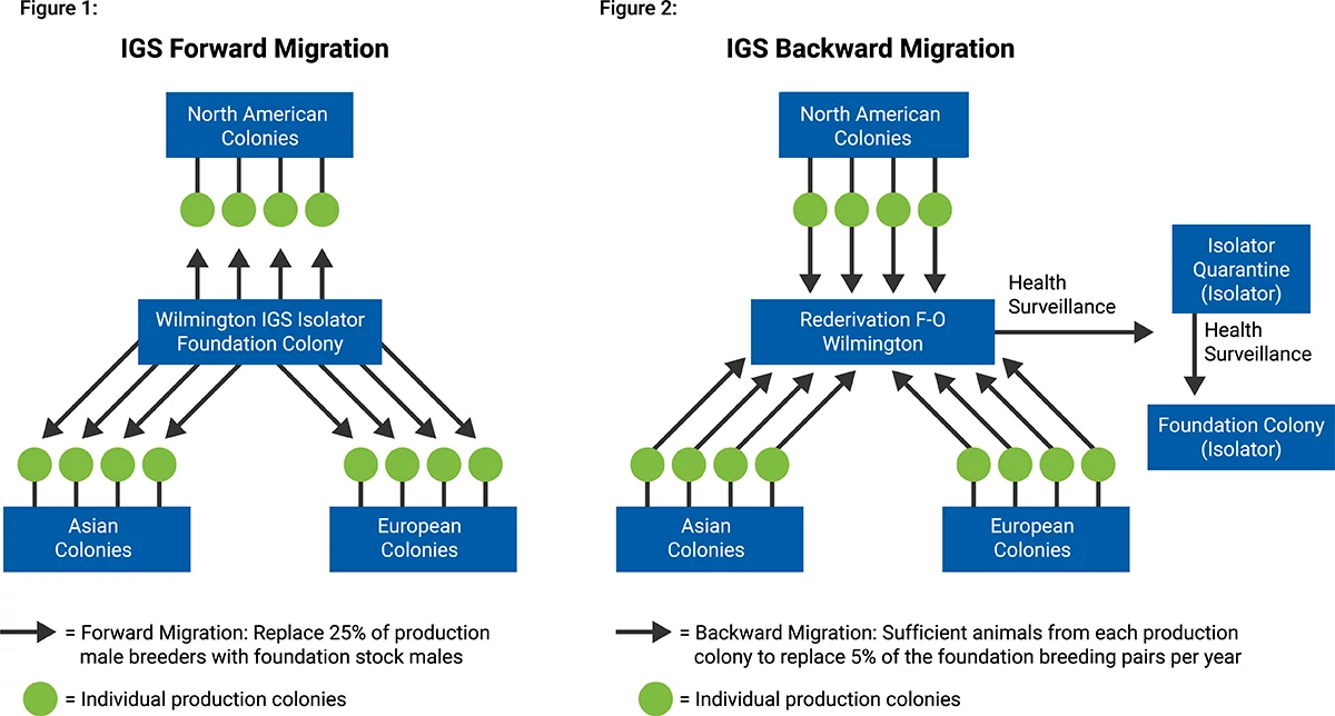 International Genetic Standardization Program | Charles River