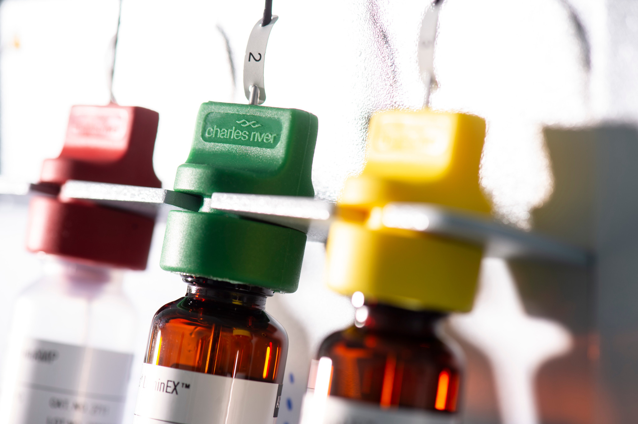 Rapid Microbial Detection | Charles River