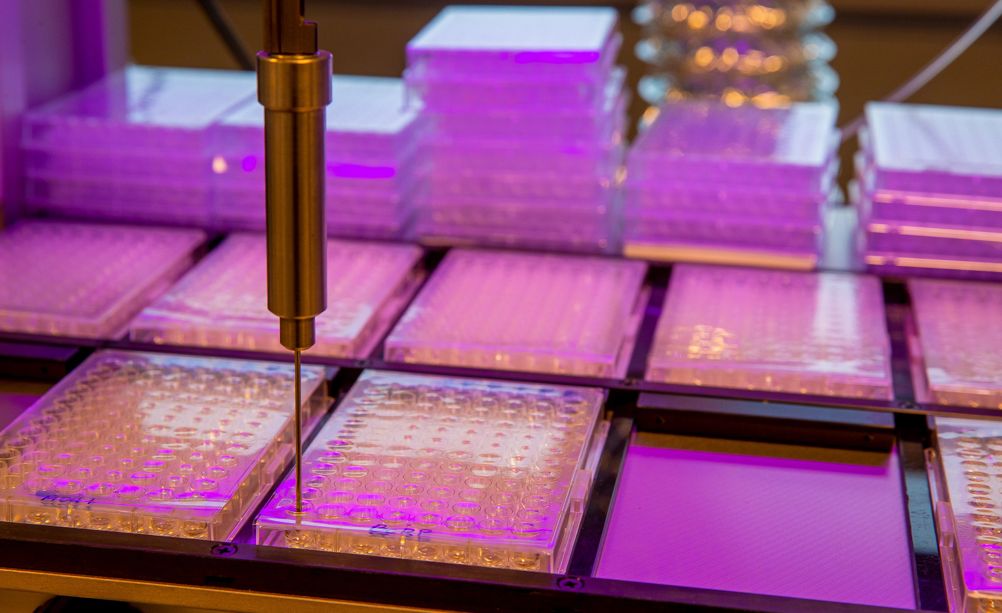 Overcoming Challenges in Preclinical Bioanalysis | Charles River Overcoming Challenges in Preclinical Bioanalysis | Charles River