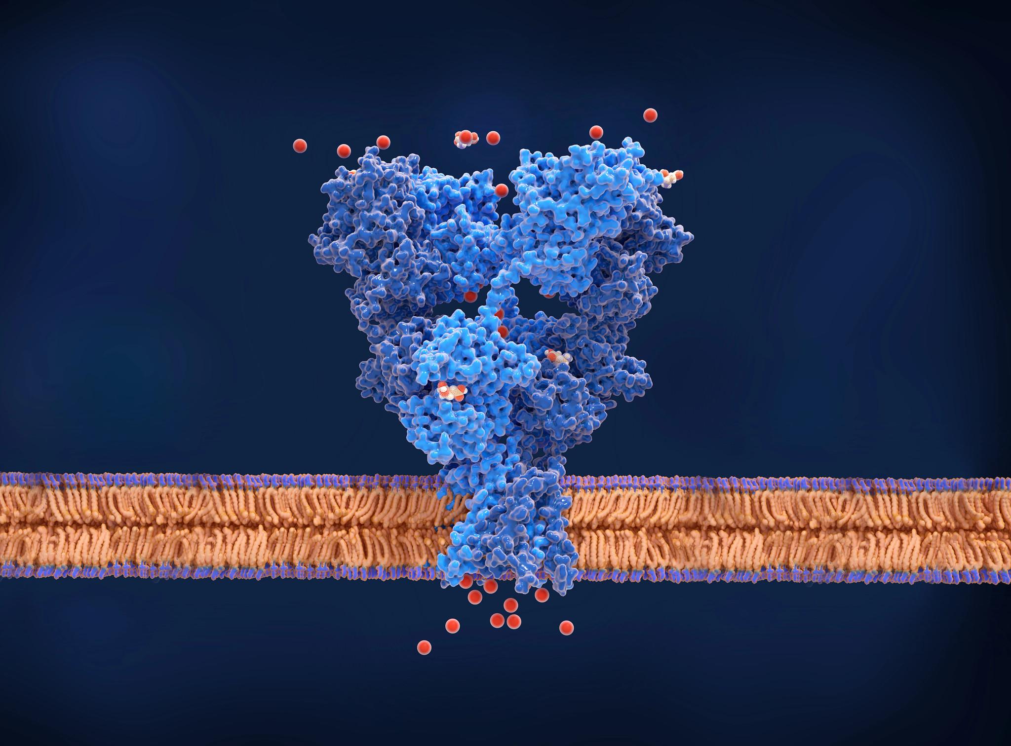 Navigating the Complexities of Early Ion Channel Drug Discovery ...