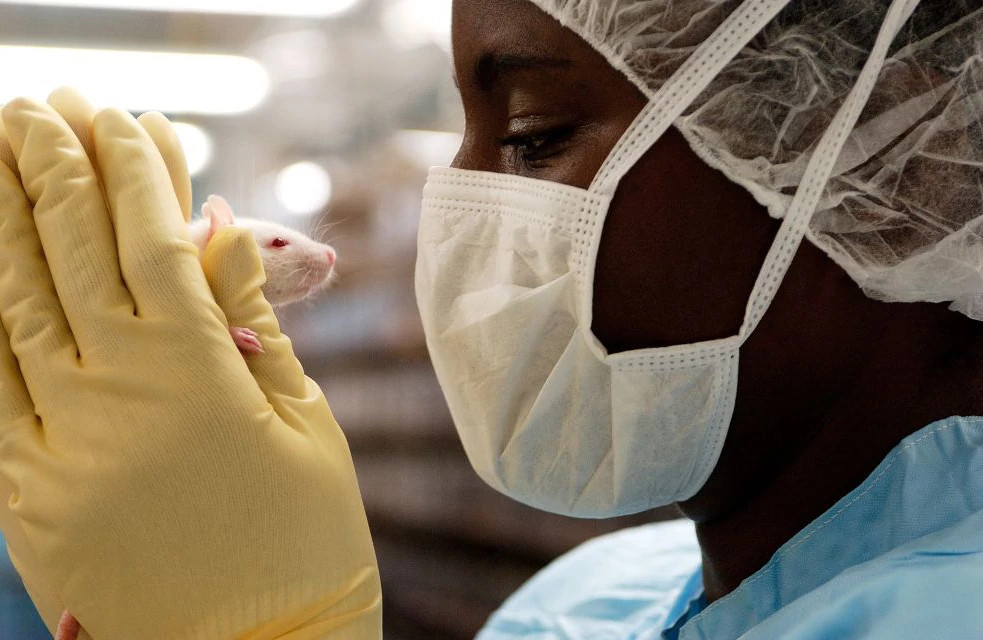 Reducing Aggression in Mice | Charles River