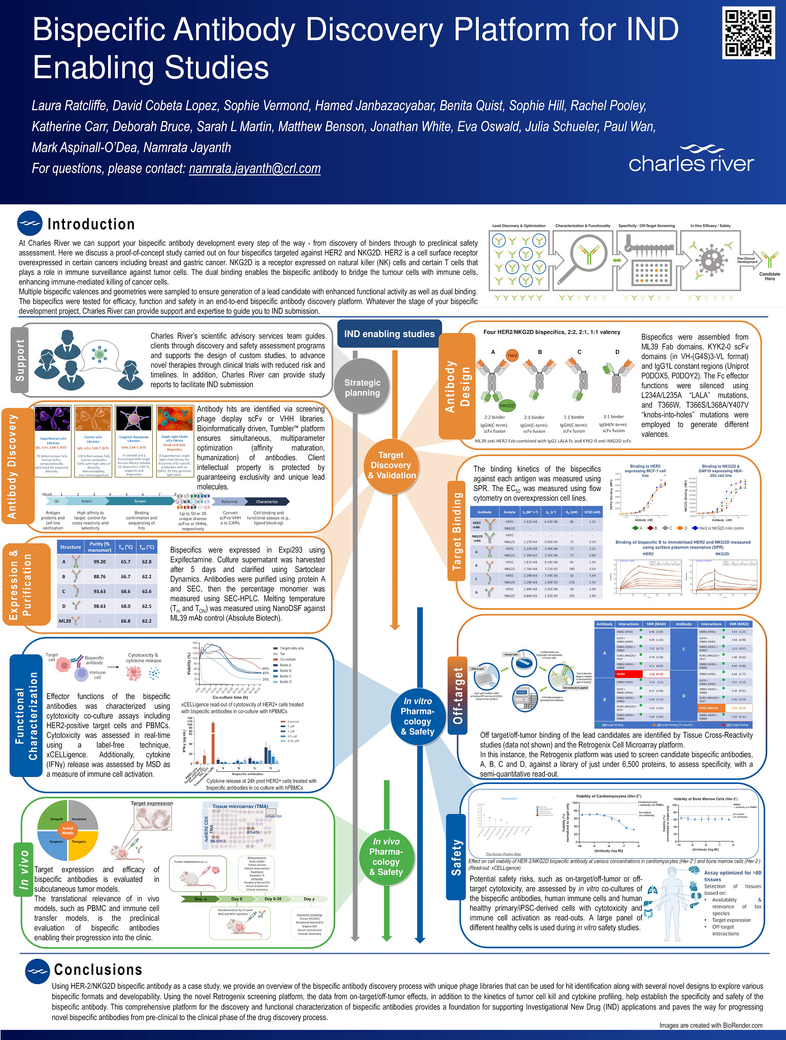 Bispecific Antibody Discovery Platform | Charles River