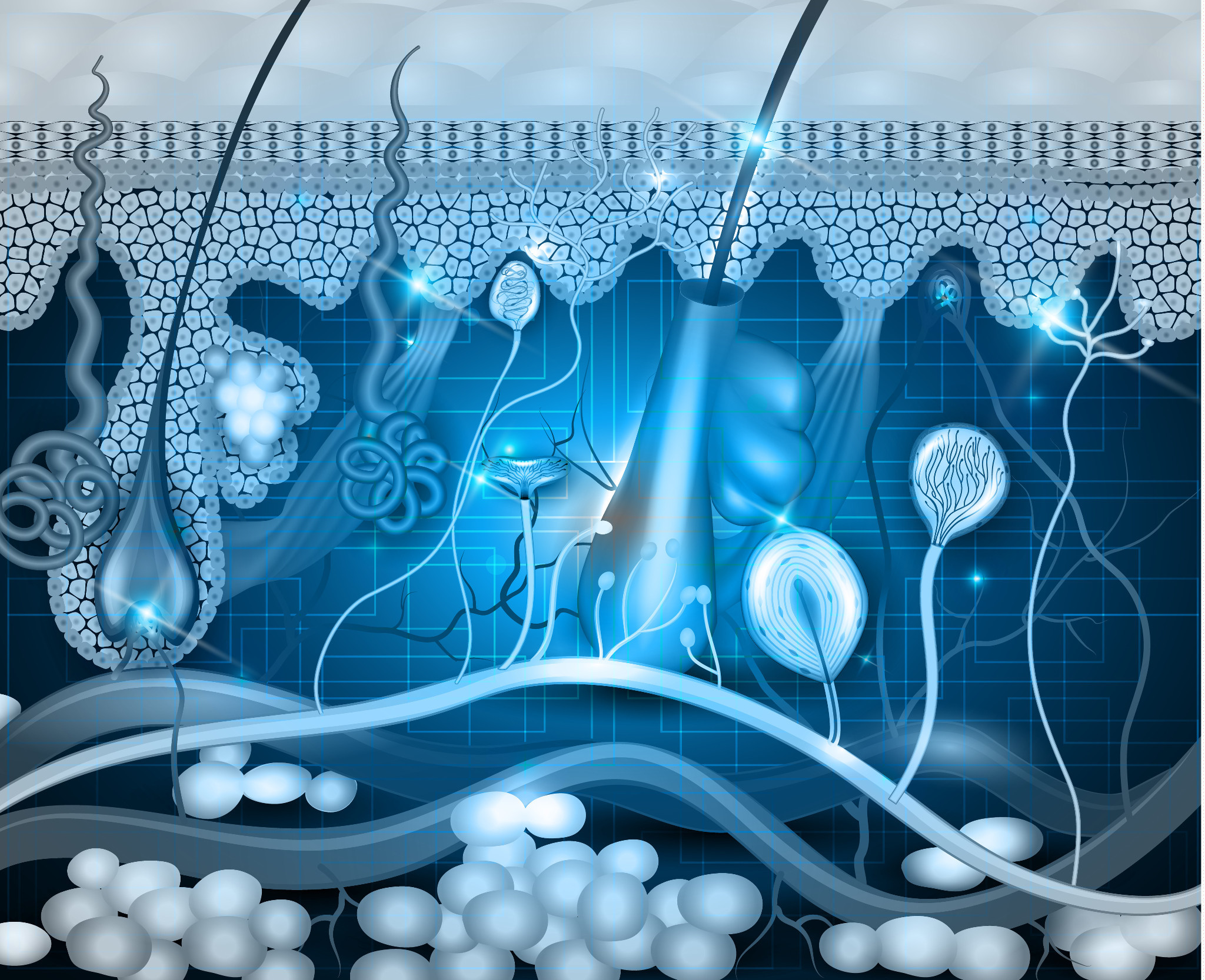 New Guidelines for Skin Sensitization Testing | Charles River