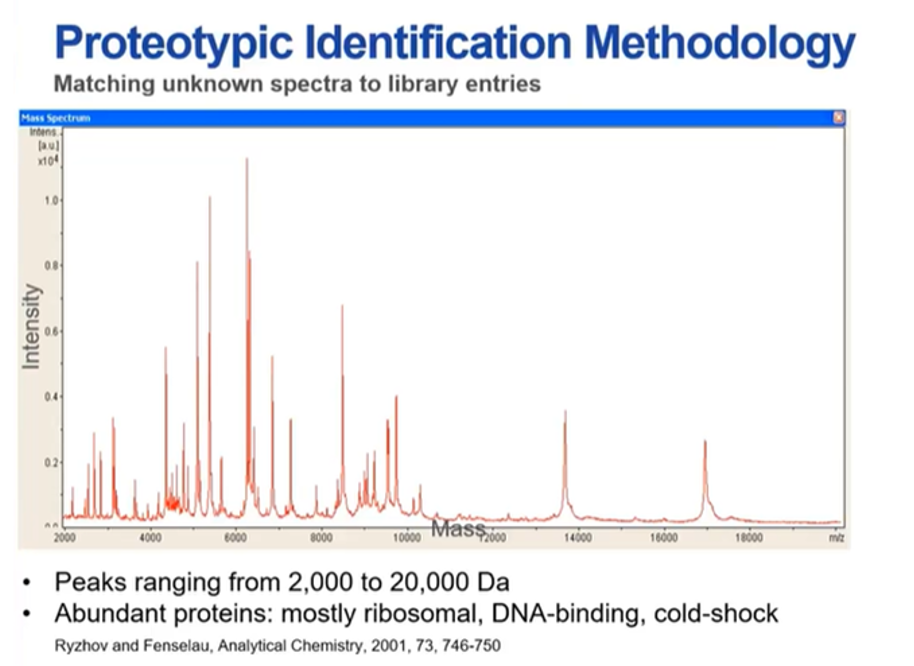 How to Interpret MALDI-TOF Analysis Report | Charles River