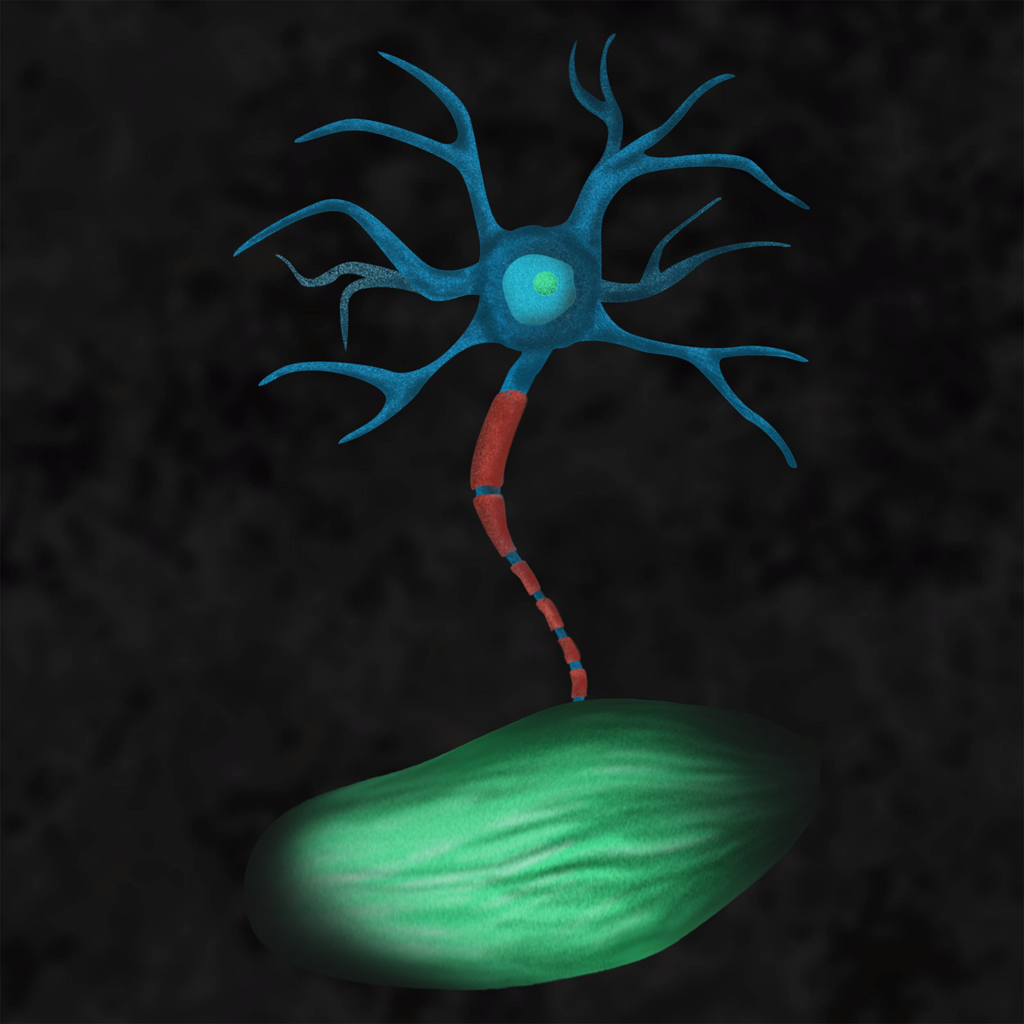 Amyotrophic Lateral Sclerosis (ALS) Animal Models | Charles River