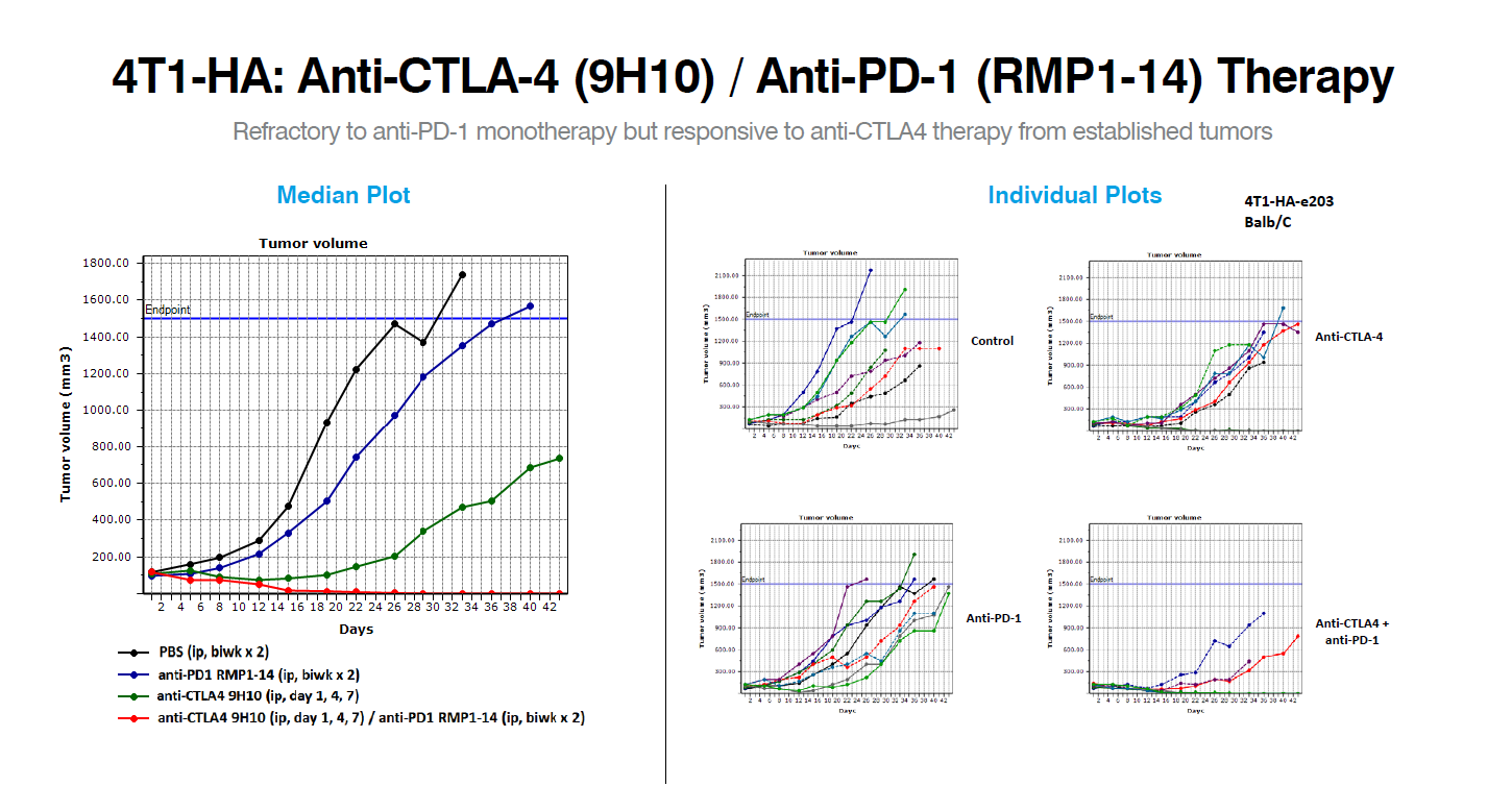 Syngeneic Mouse Models | Charles River