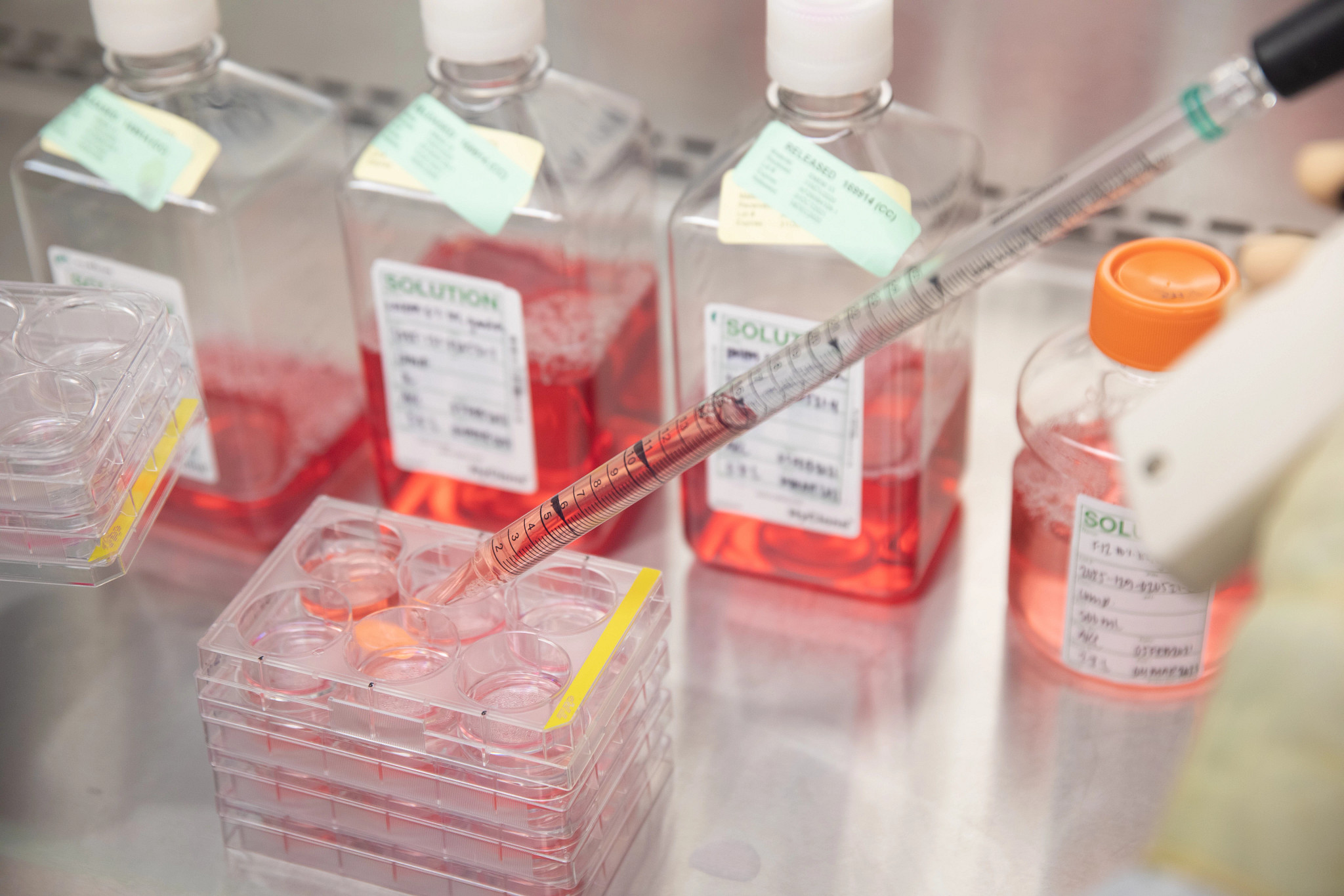 Webinar Series: Building a Biologic – Foundations of Cell Manufacturing ...