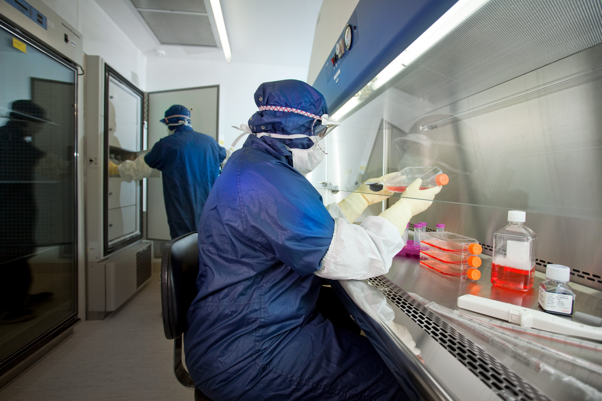 Residual DNA Testing | Charles River