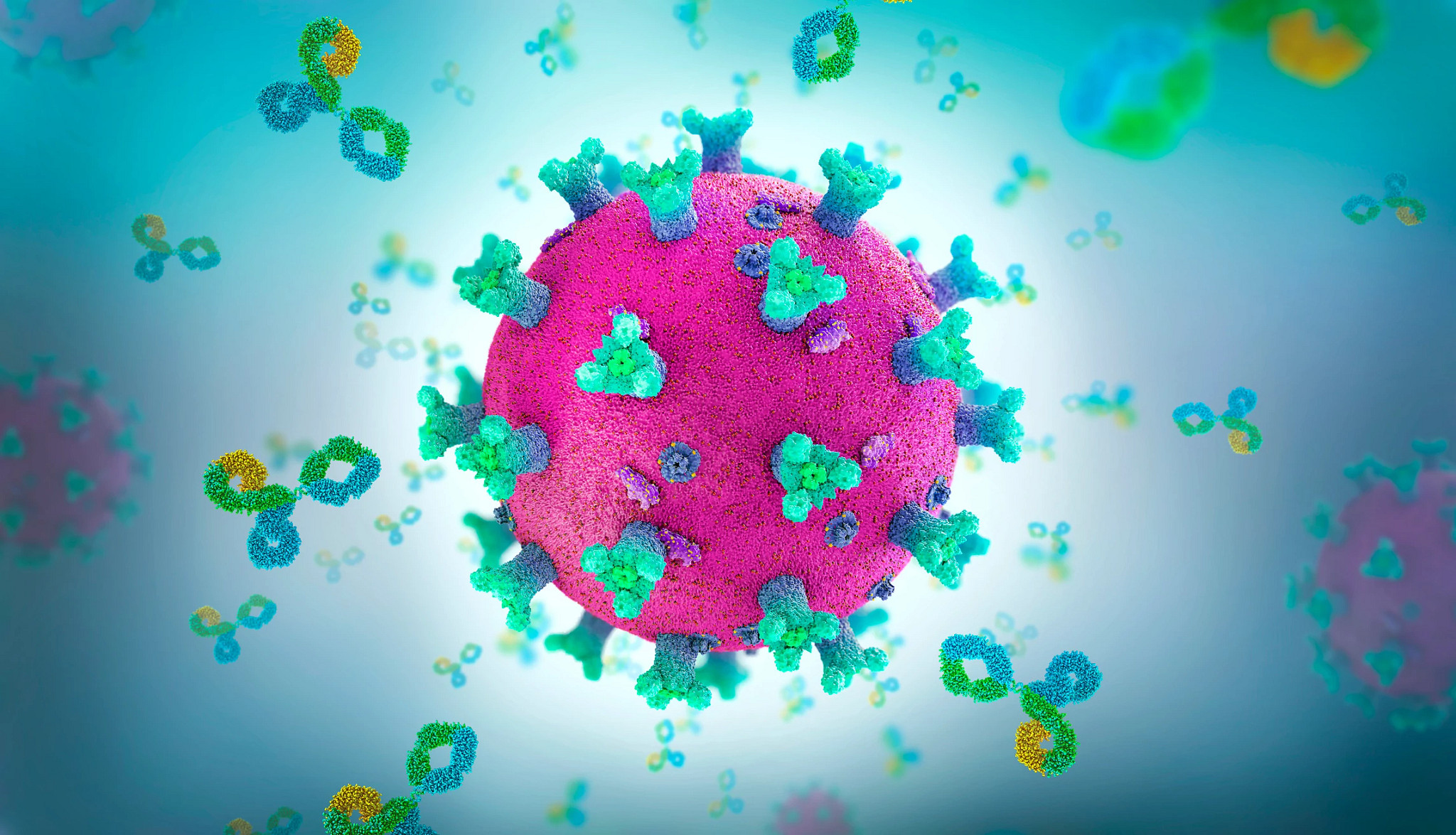 Immune Correlates of Protection: A Vaccine’s Biological Benchmark ...
