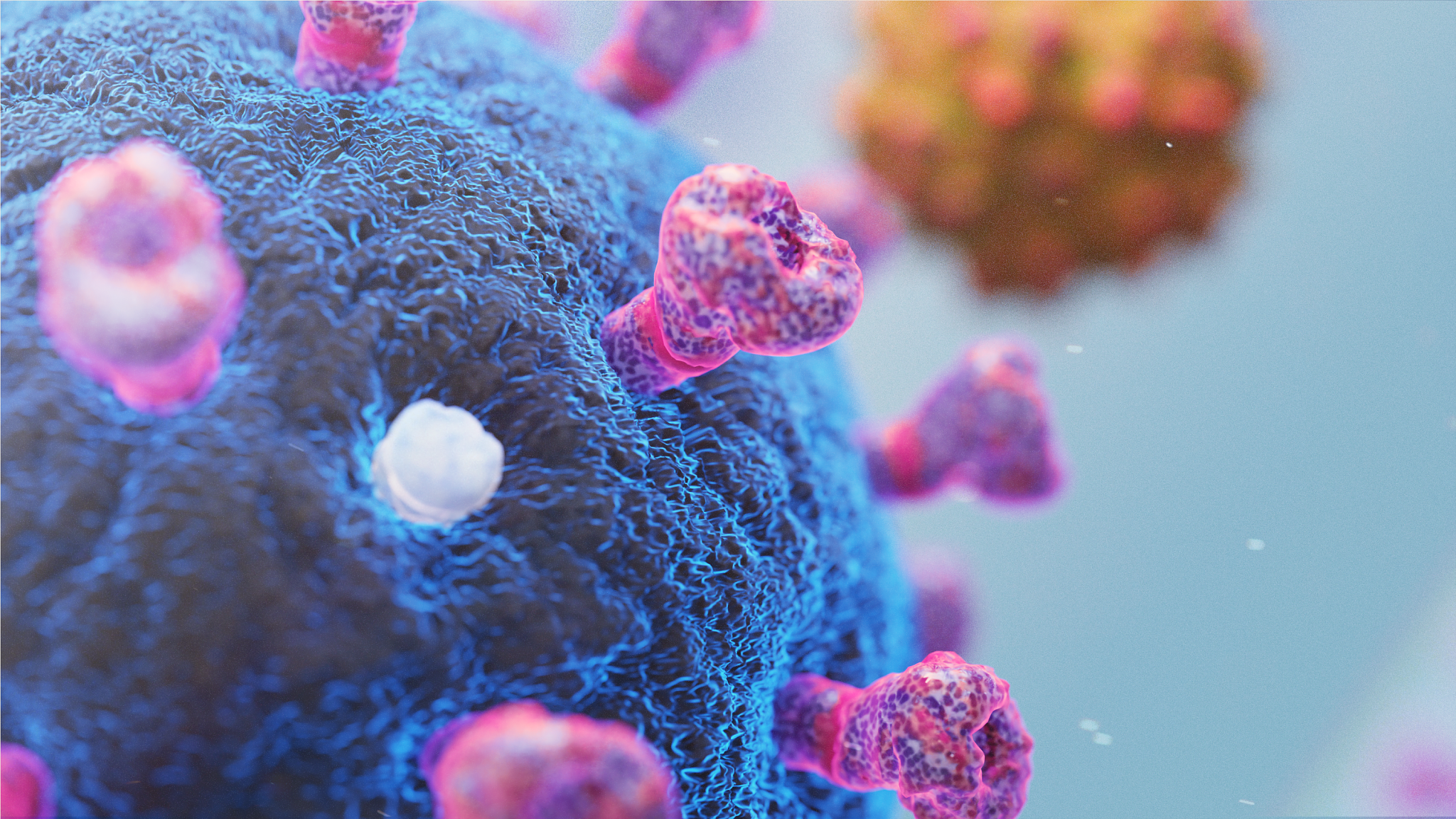 Viral Safety and Viral Clearance Summit Insights | Charles River