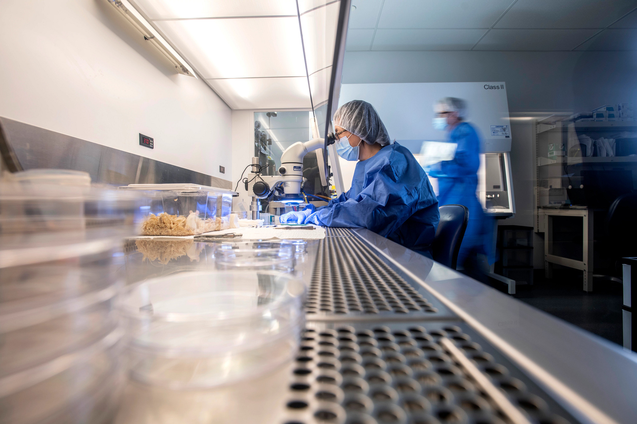 Charles River Laboratories | Because every moment matters