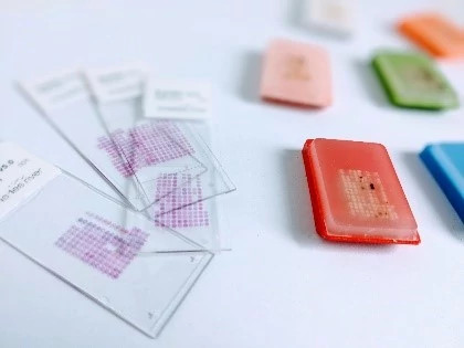 Tumor Microarrays | Charles River