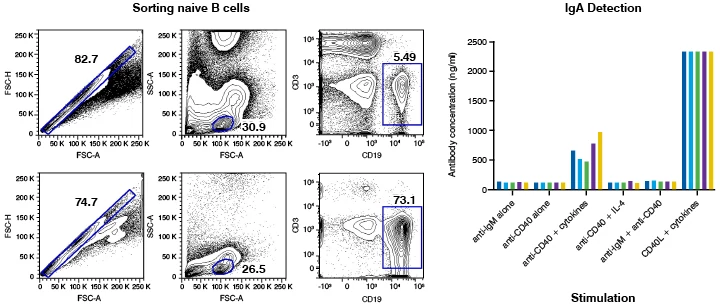 Inflammation and Autoimmune B cell assays | Charles River
