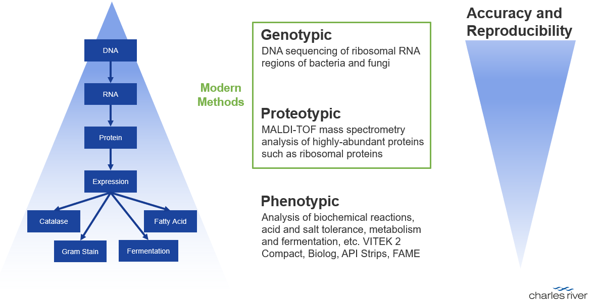 Microbial Identification Methods in the PharmaIndustry | Charles River