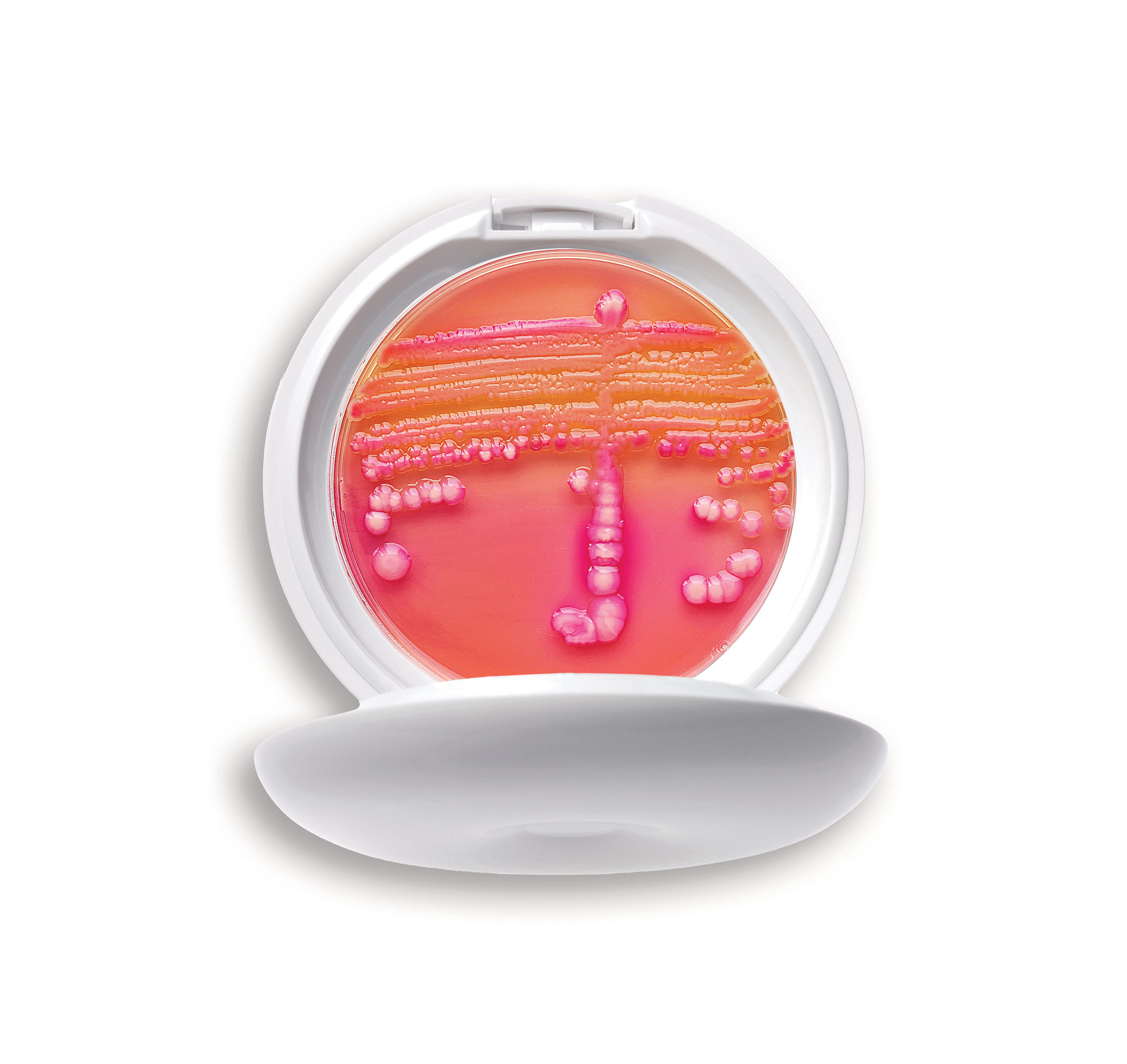 Microbial Analysis Of Cosmetic Products at Declan Goodisson blog