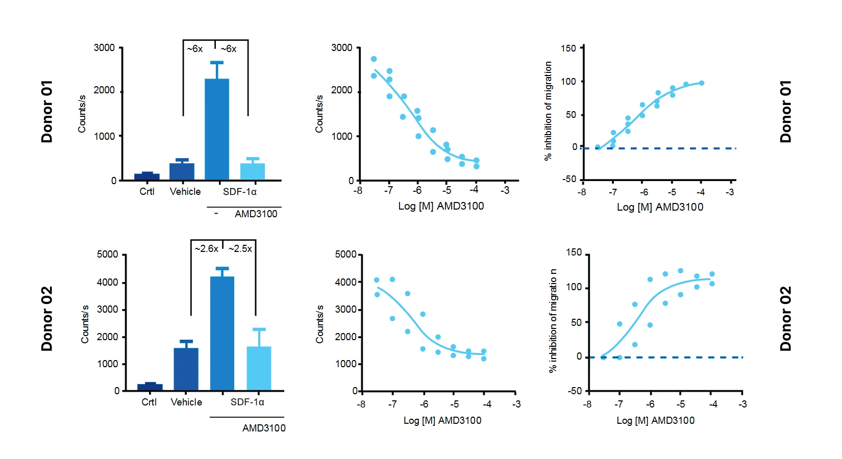 Monocyte Chemotaxis Assay | Charles River