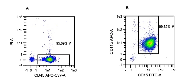 Granulocytic Cells | Charles River