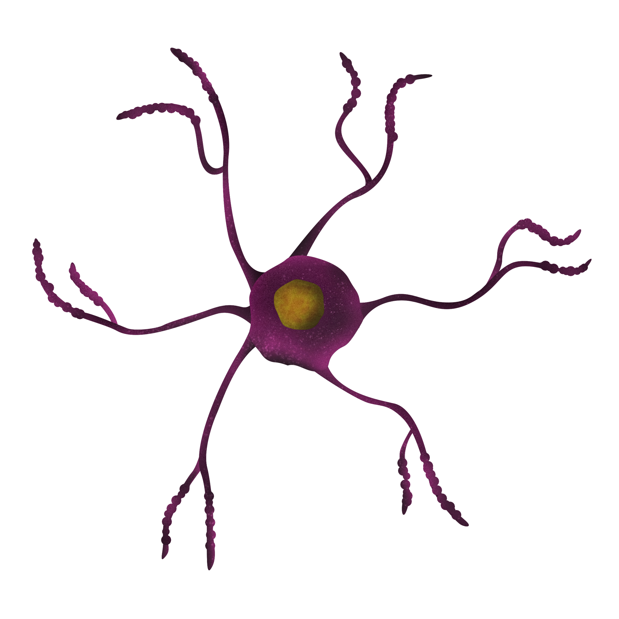 Neuroinflammation Studies | Charles River