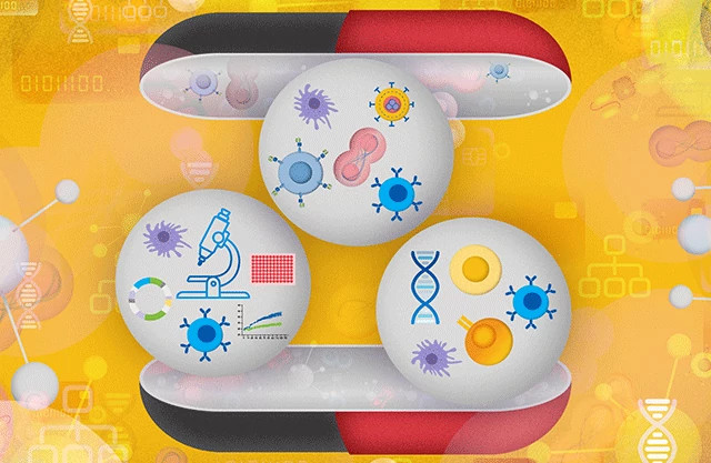 Immune Function Assay Services | Charles River
