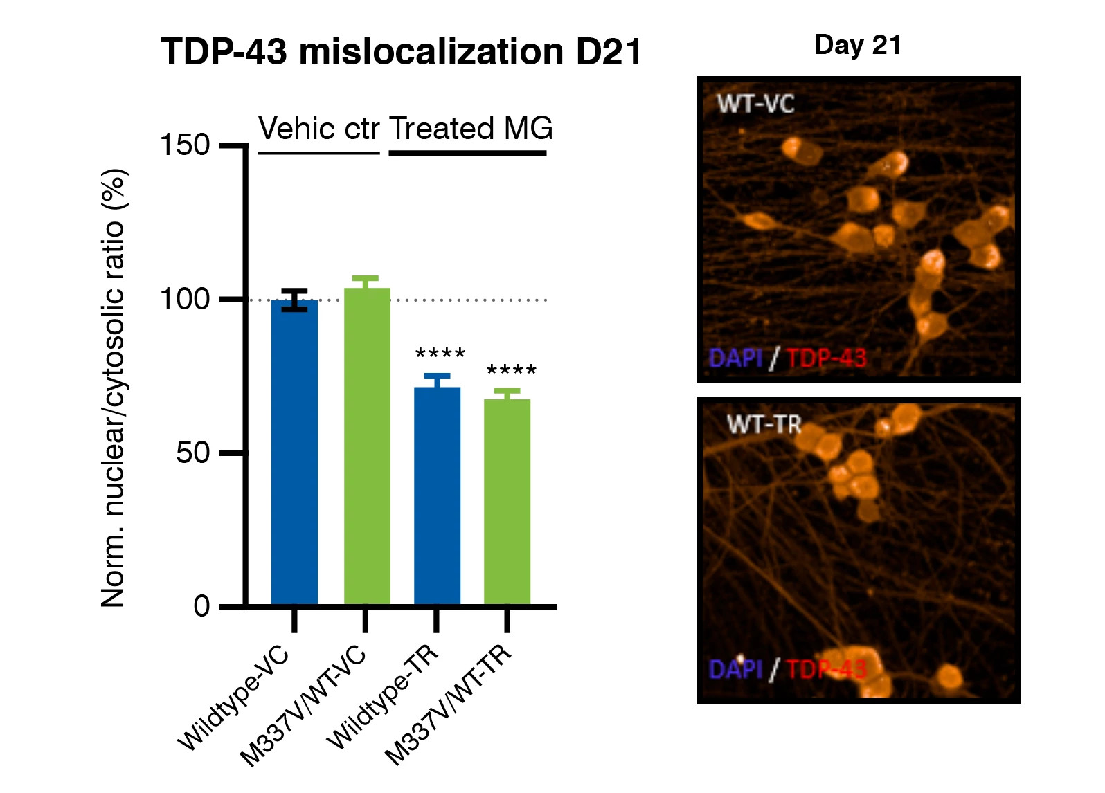 iPSC Reprogramming for Disease Cell Modeling | Charles River