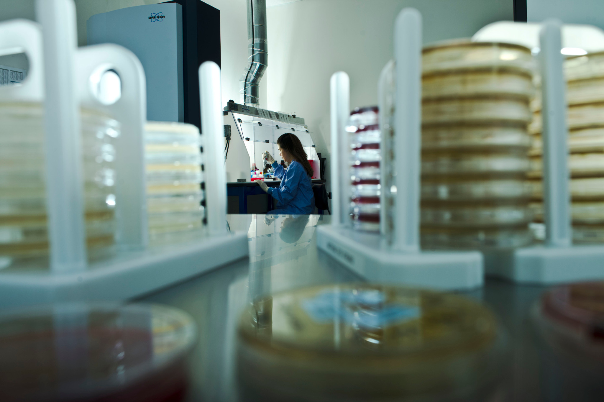 Microbial DNA Sequencing Services | Charles River