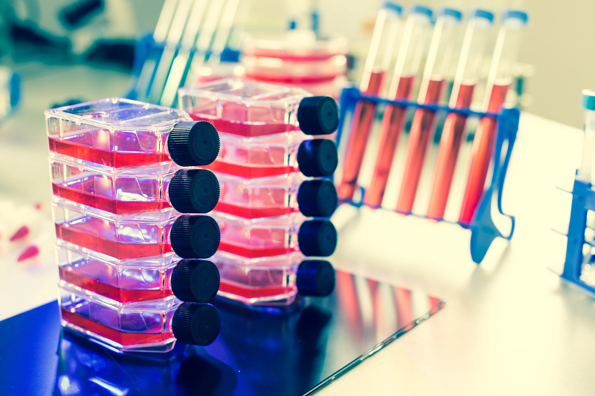 Rapid Sterility Testing for Cell and Gene Therapies | Charles River